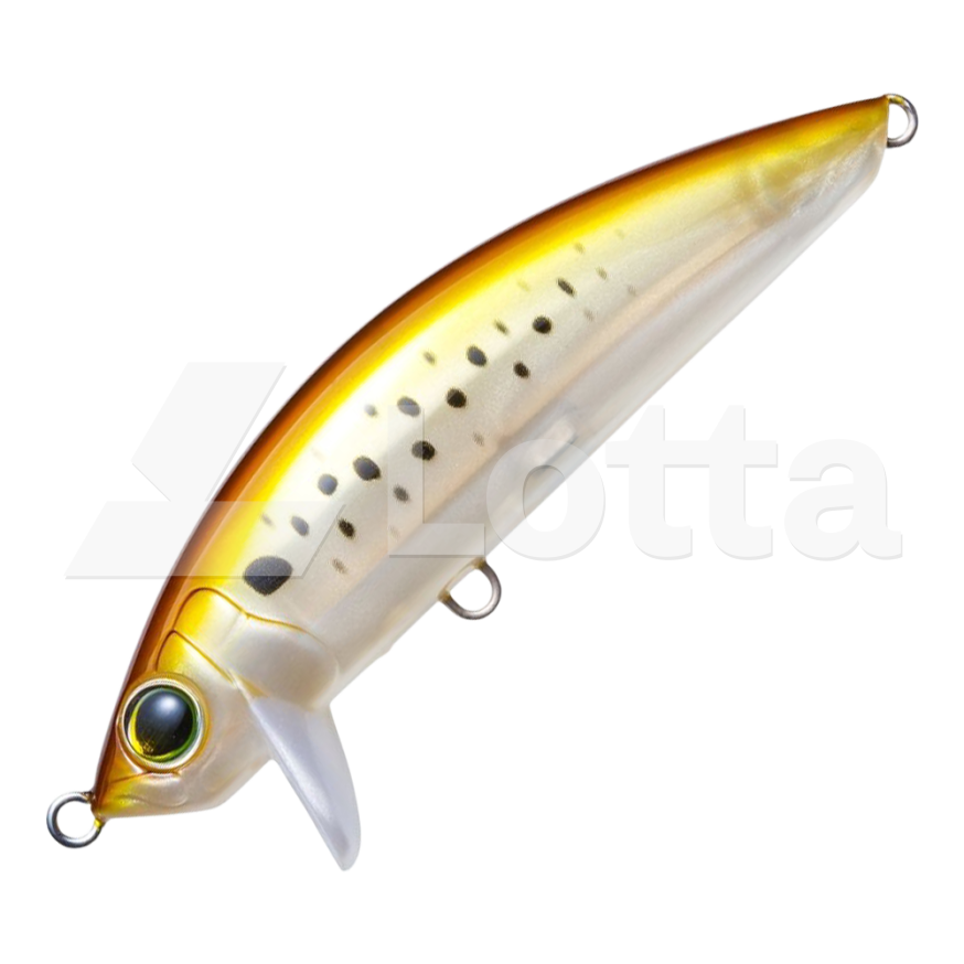 3D Inshore Surface Minnow